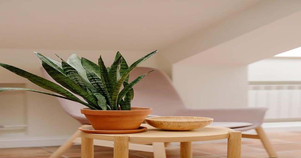 10 Houseplants To Give Your Kitchen A Fresh Look