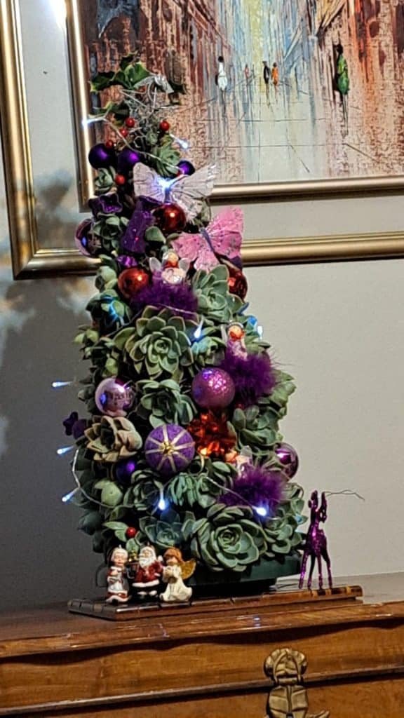 50 Stunning Succulent Christmas Trees