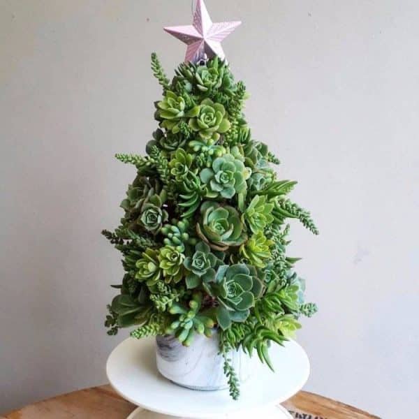 50 Stunning Succulent Christmas Trees