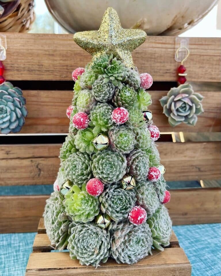 50 Stunning Succulent Christmas Trees