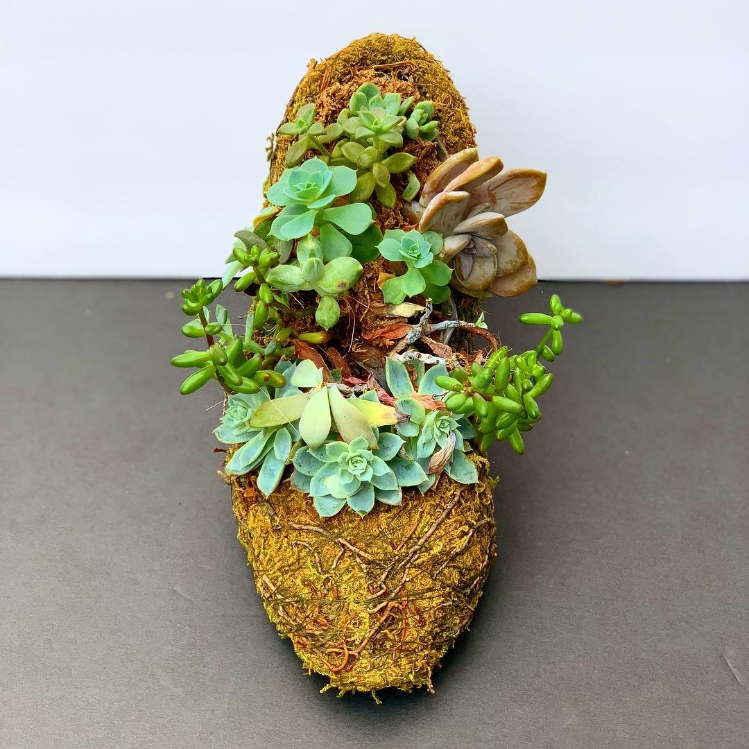 20 Shoe Succulent Planters To Inspire Your Creativity