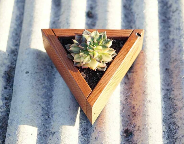 10 Gorgeous Succulent Wood Planter Ideas For Your Home!