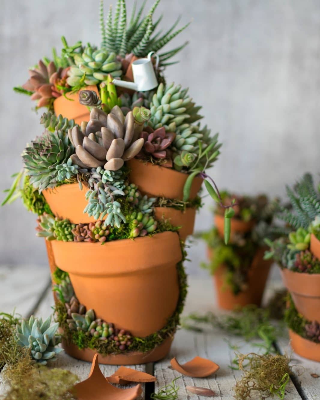 Repurpose Your Broken Pots Into Beautiful Garden Arrangements