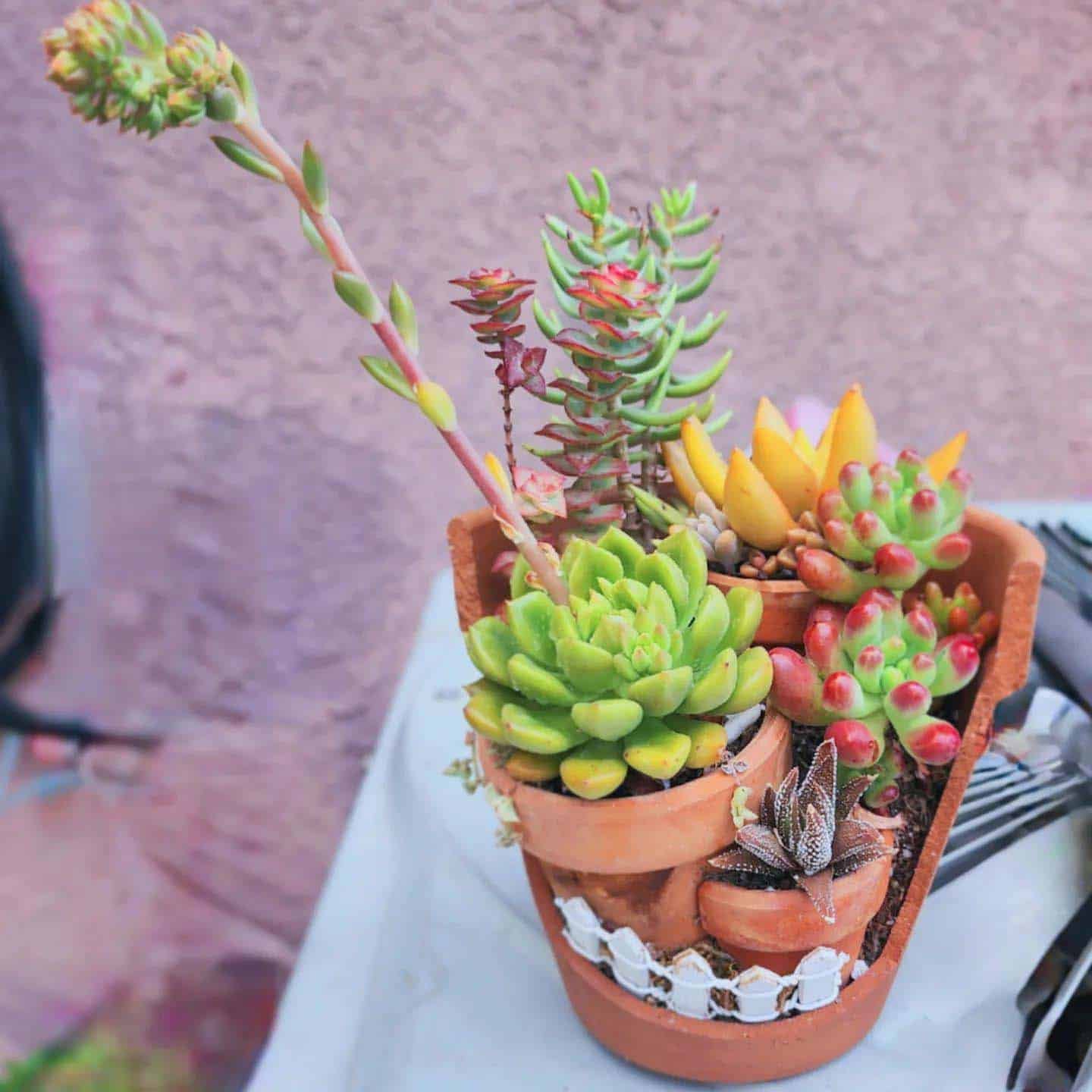 Repurpose Your Broken Pots Into Beautiful Garden Arrangements