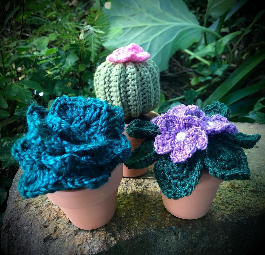 How To Crochet Succulent Plants: A Step-By-Step Guide