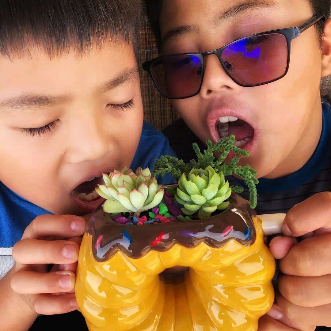 Succulent Care For Kids: A Fun And Educational Activity