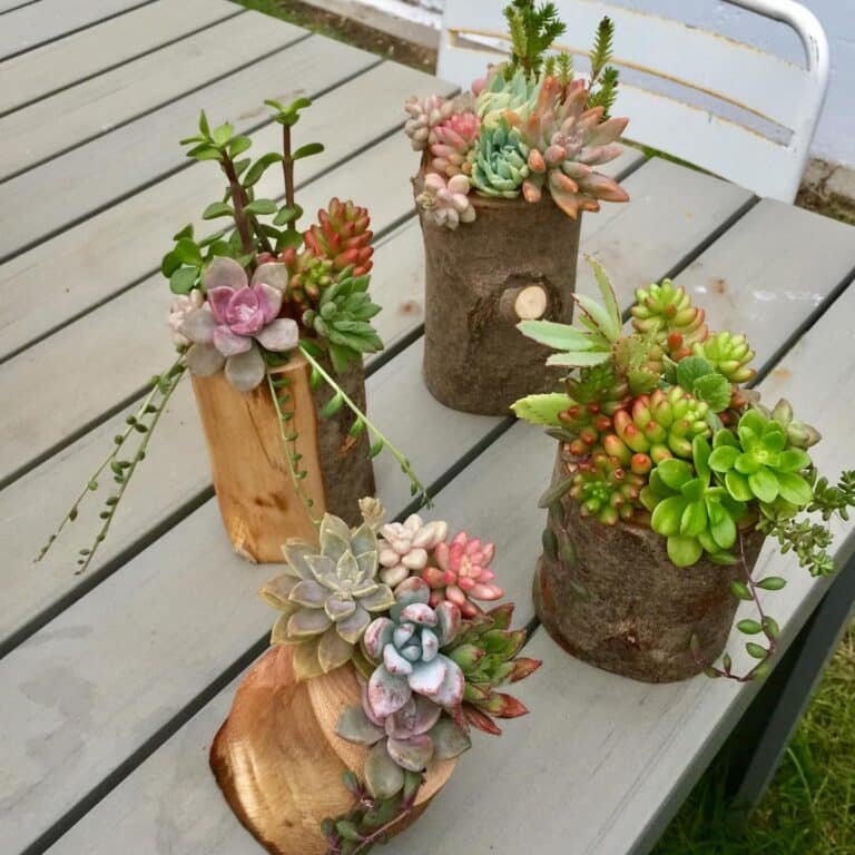 10 Gorgeous Succulent Wood Planter Ideas For Your Home!
