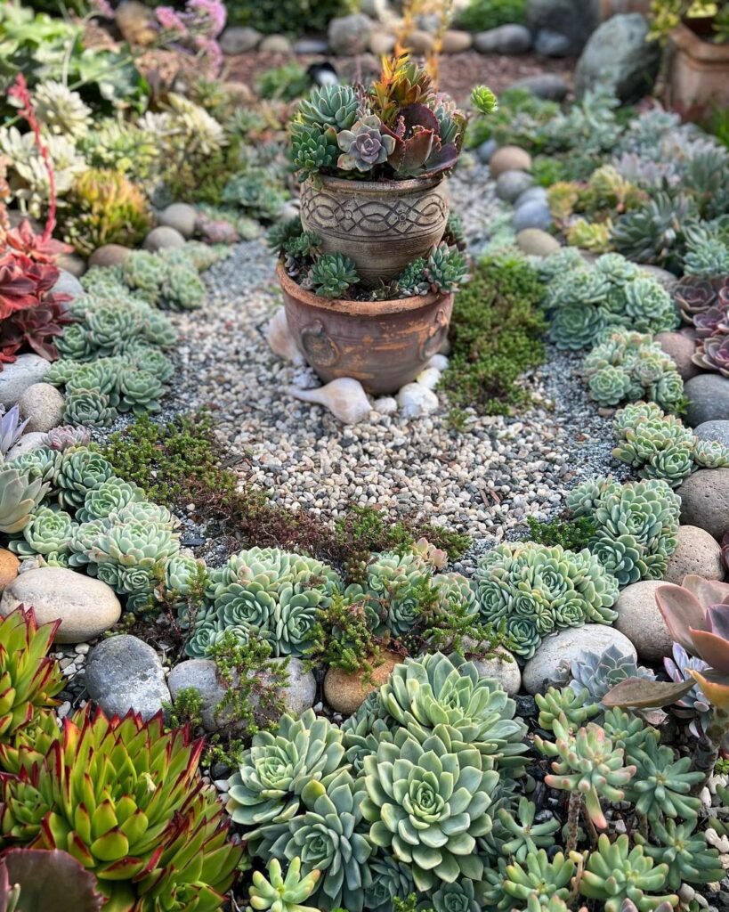 Stunning Succulent Landscape Designs For Your Front Yard!