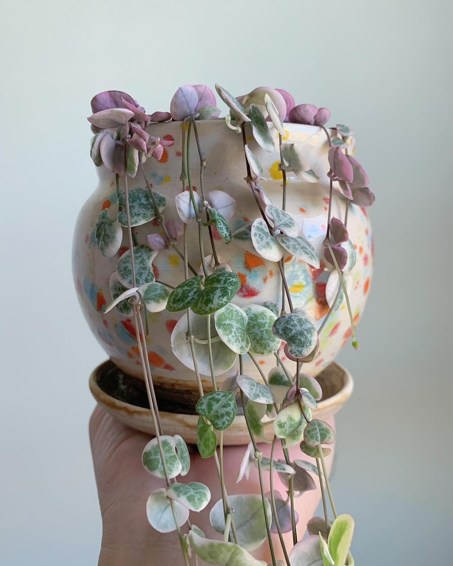 Starting Your Journey